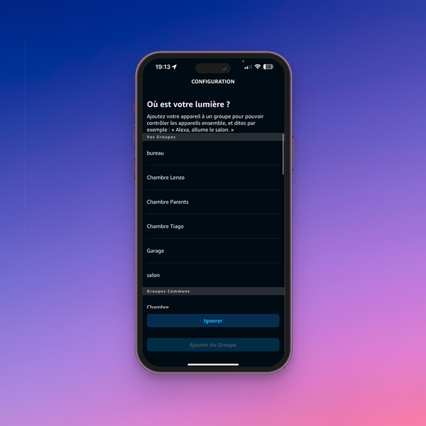 Intégration ALEXA avec Home Assistant et Nabu Casa